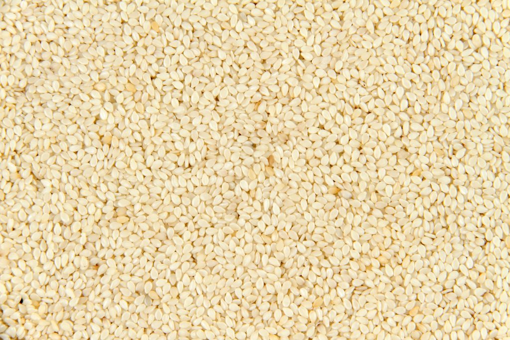 SEEDS – South Grains